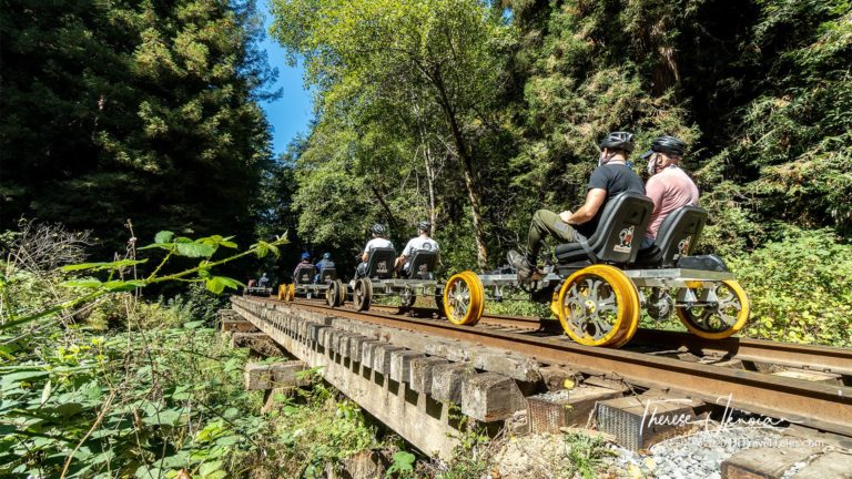 Media - World-Famous Skunk Train