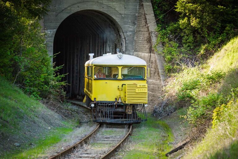 Willits History - World-Famous Skunk Train